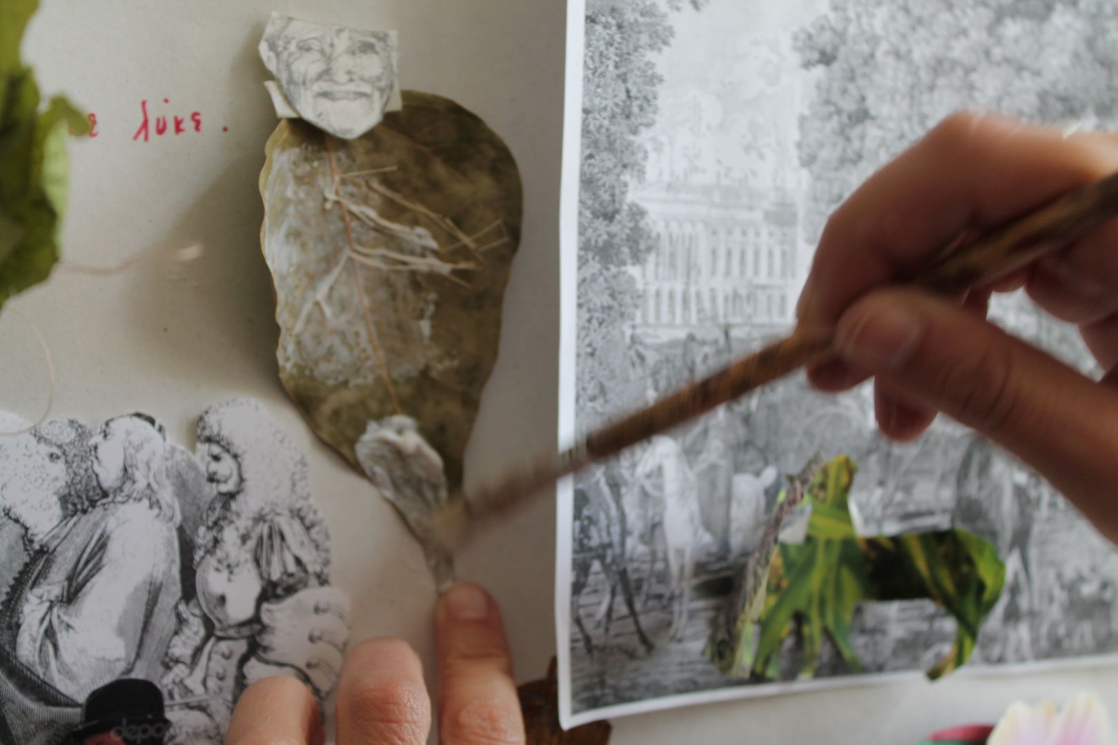 Products offered by Dimitra Bouritsa